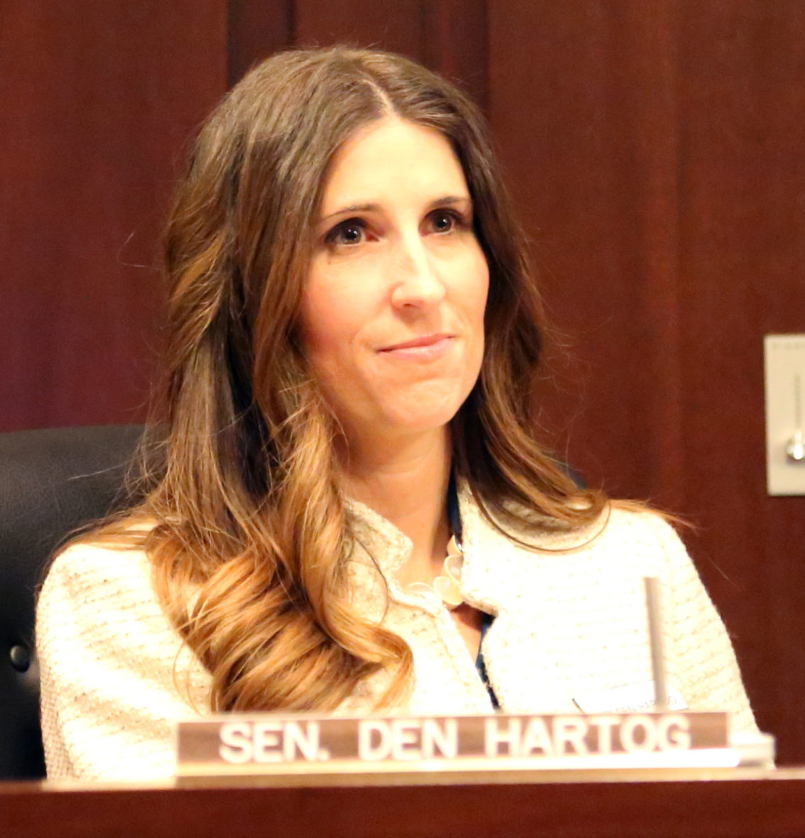 District 22 Senate, Den Hartog vs. Porter