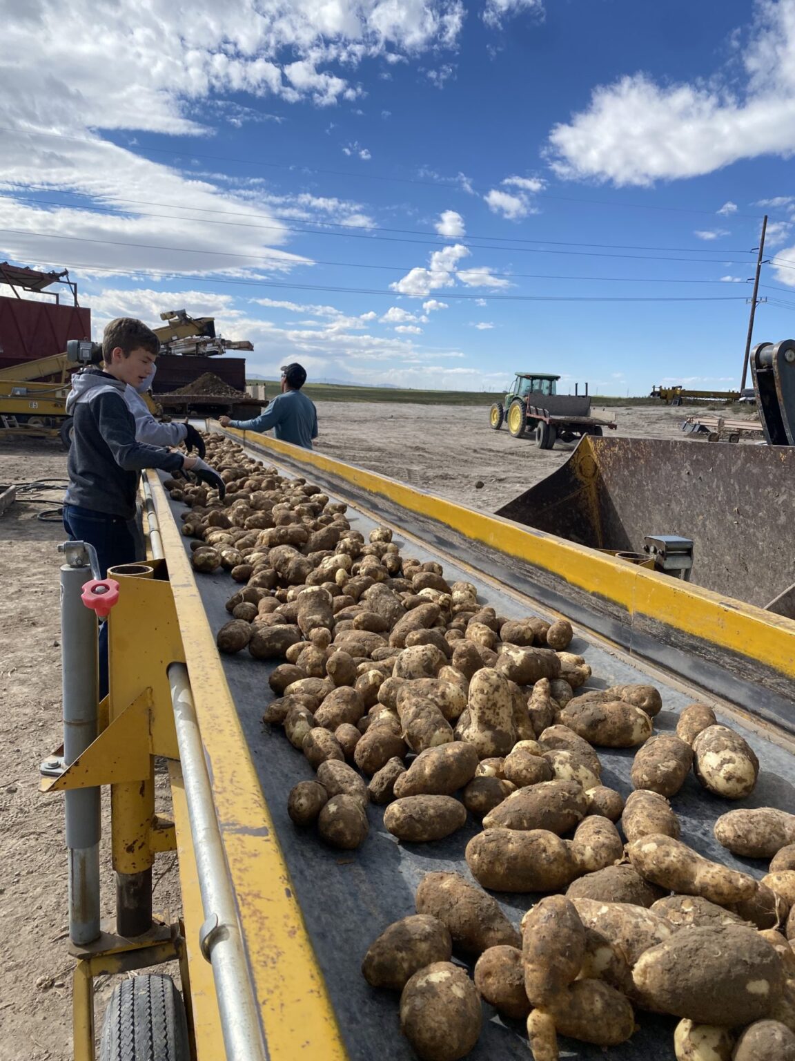 From the classroom to the spud cellar: harvest break teaches life lessons