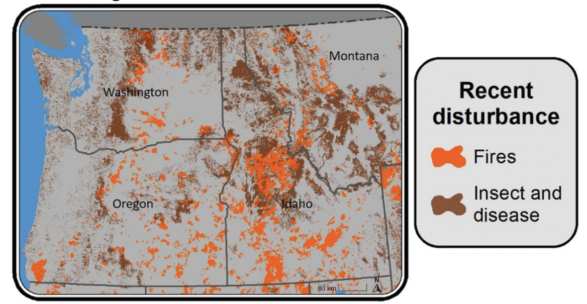 How is climate change affecting the wildlife in Idaho?