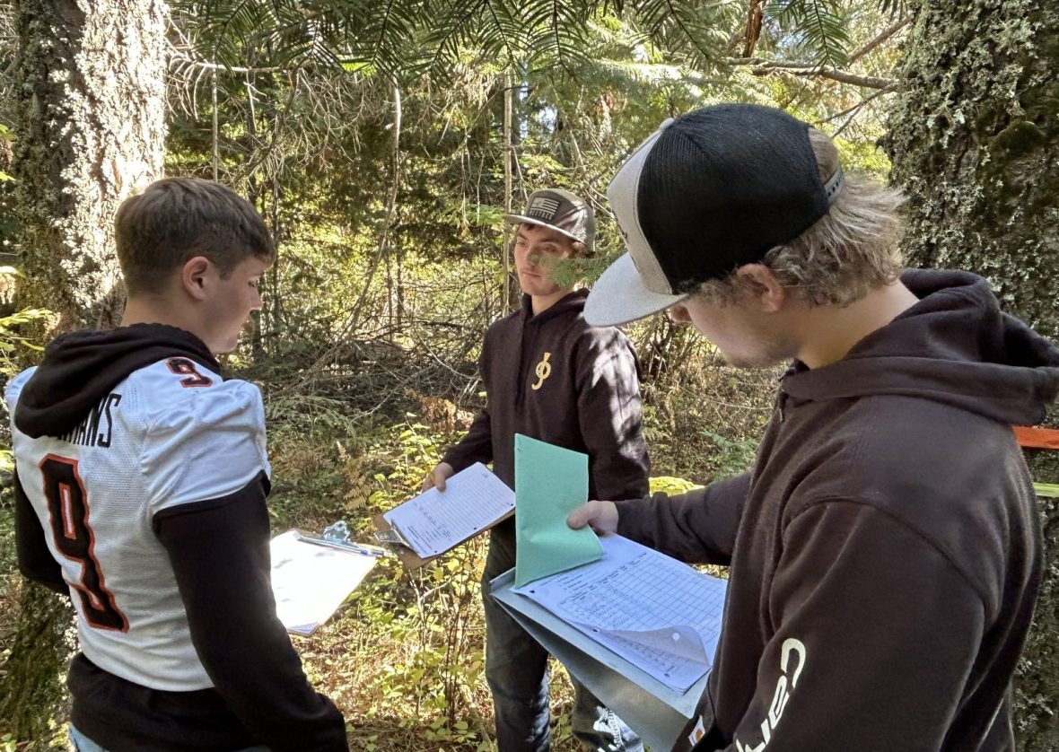 Outdoor classroom creates a new generation of forest stewards