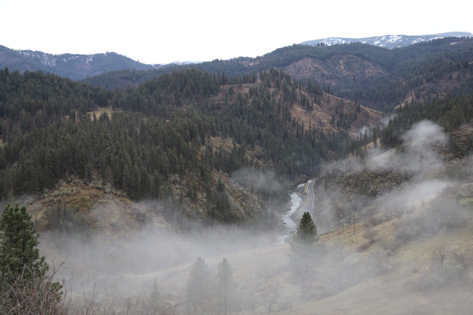 Mountain View trustees vote to deconsolidate, pending state and voter ...