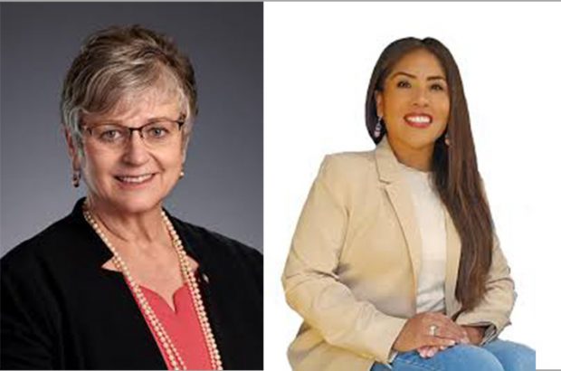 Democrats retain central Idaho Senate seat, cede control in Boise ...