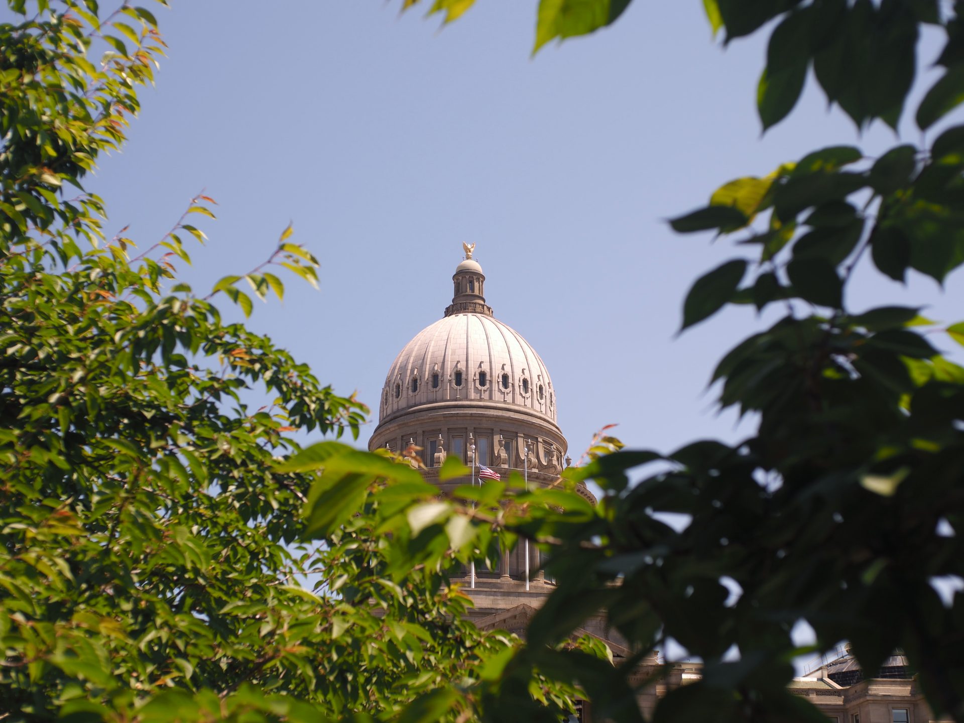 State rule could restrict how parents spend virtual school dollars