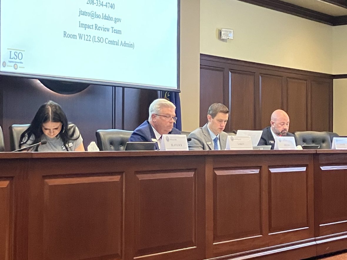 Idaho DOGE committee asks for public to report government 'waste'