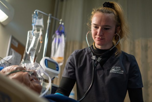 Spelling it out: nursing programs in Idaho