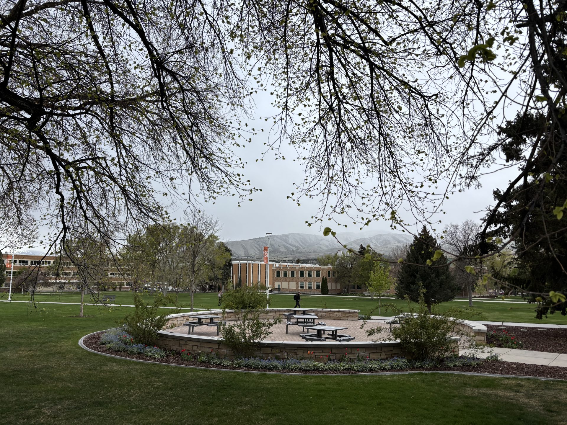 State Board OKs tuition increases — Idaho's largest in three years